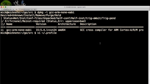 Running GoLang on an STM32 MCU. A quick tutorial. - MickMake - Live. Learn. Make.